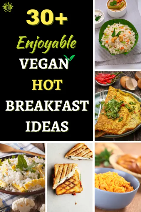 Vegan Hot Breakfast Ideas: 37 Comforting Options