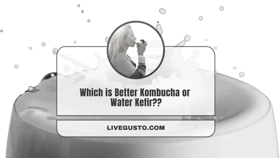 Which Is Better For You Kombucha Or Water Kefir at Ashley Bruny blog