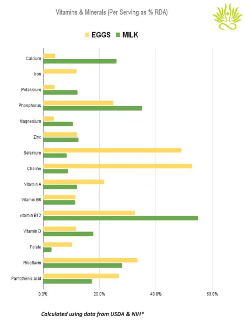 Eggs Vs Milk: The Ultimate Nutritional Face-off